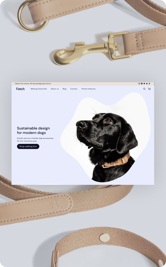 Shop Fully Customizable Shopify Themes | Archetype Themes