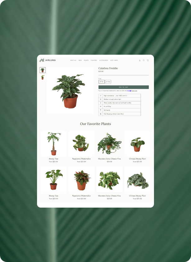 Premium Shopify Themes and Templates - Archetype Themes