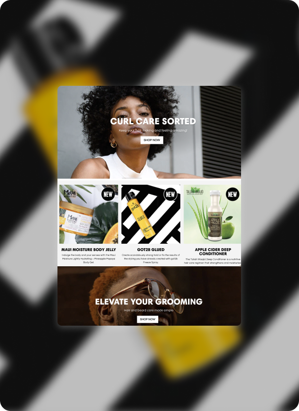 Premium Shopify Themes and Templates - Archetype Themes