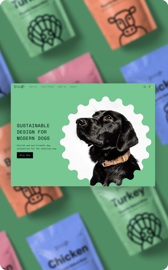 Shop Fully Customizable Shopify Themes | Archetype Themes